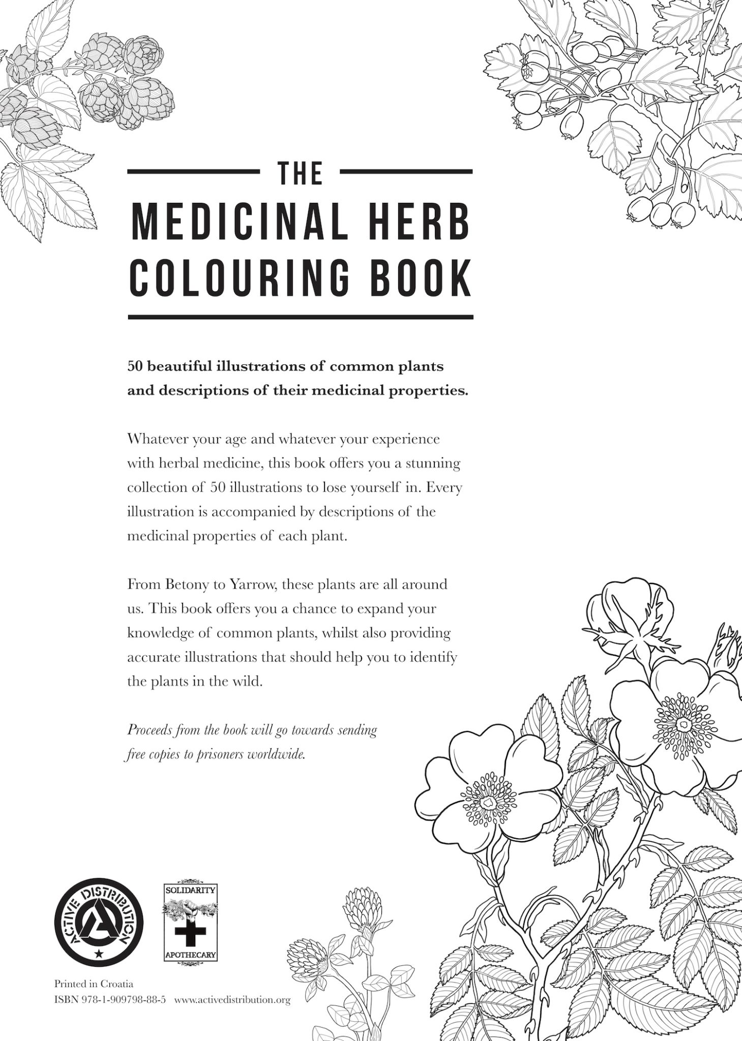 Launching the Medicinal Herb Colouring Book! – Solidarity Apothecary