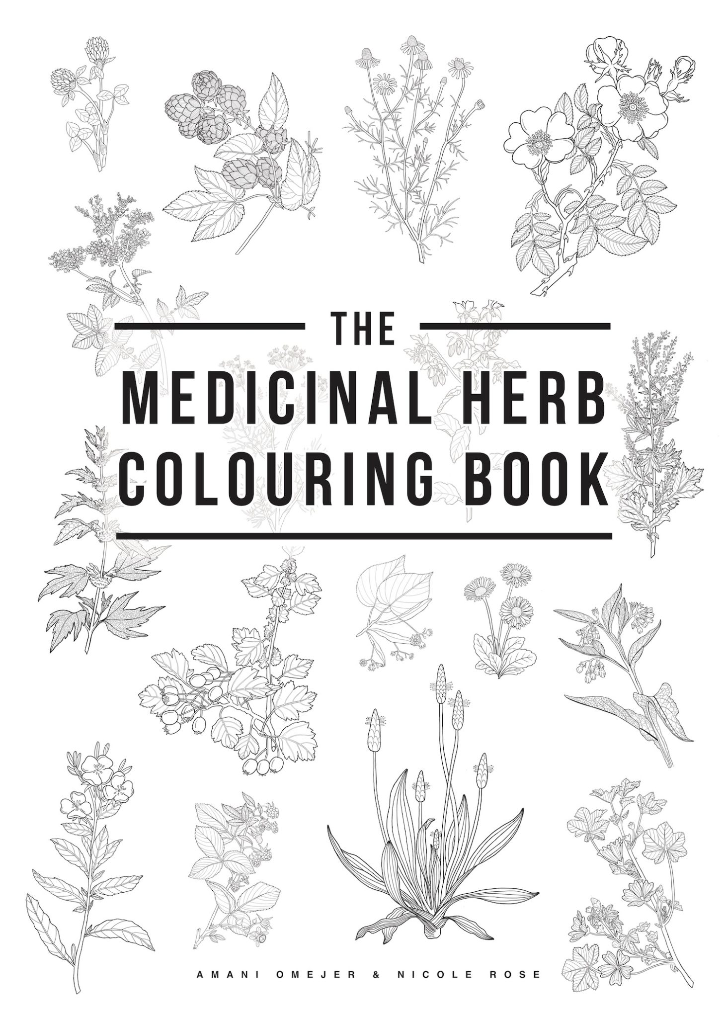 The Medicinal Herb Colouring Book – Solidarity Apothecary