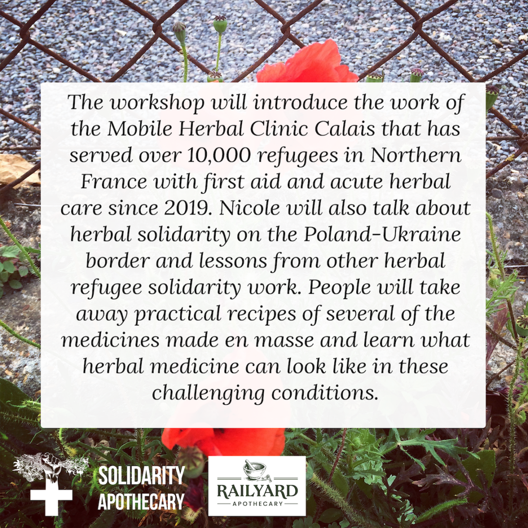Free Workshop: Herbalism and Border Violence – Solidarity Apothecary