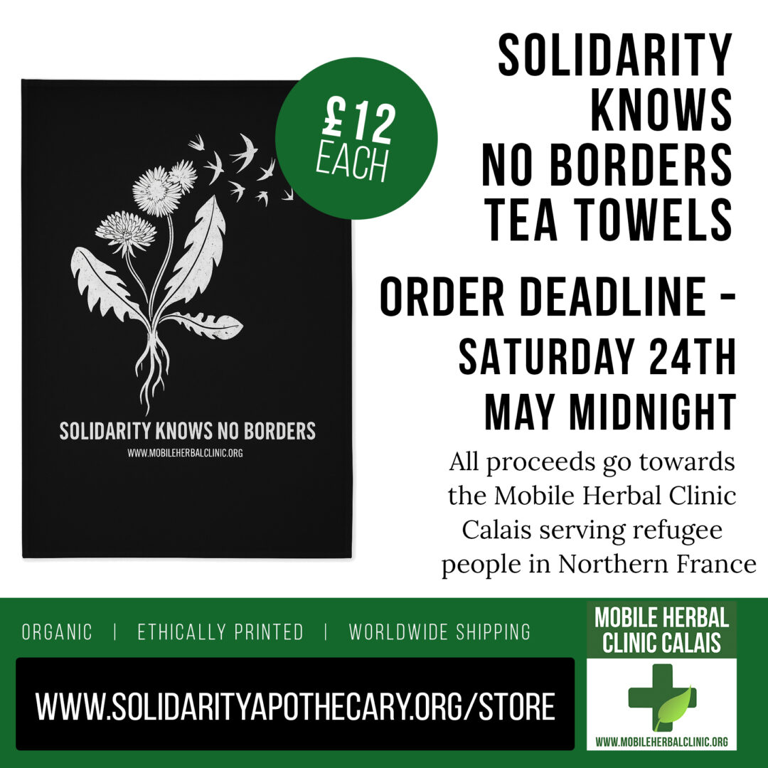 The Medicinal Herb Colouring Book – Solidarity Apothecary